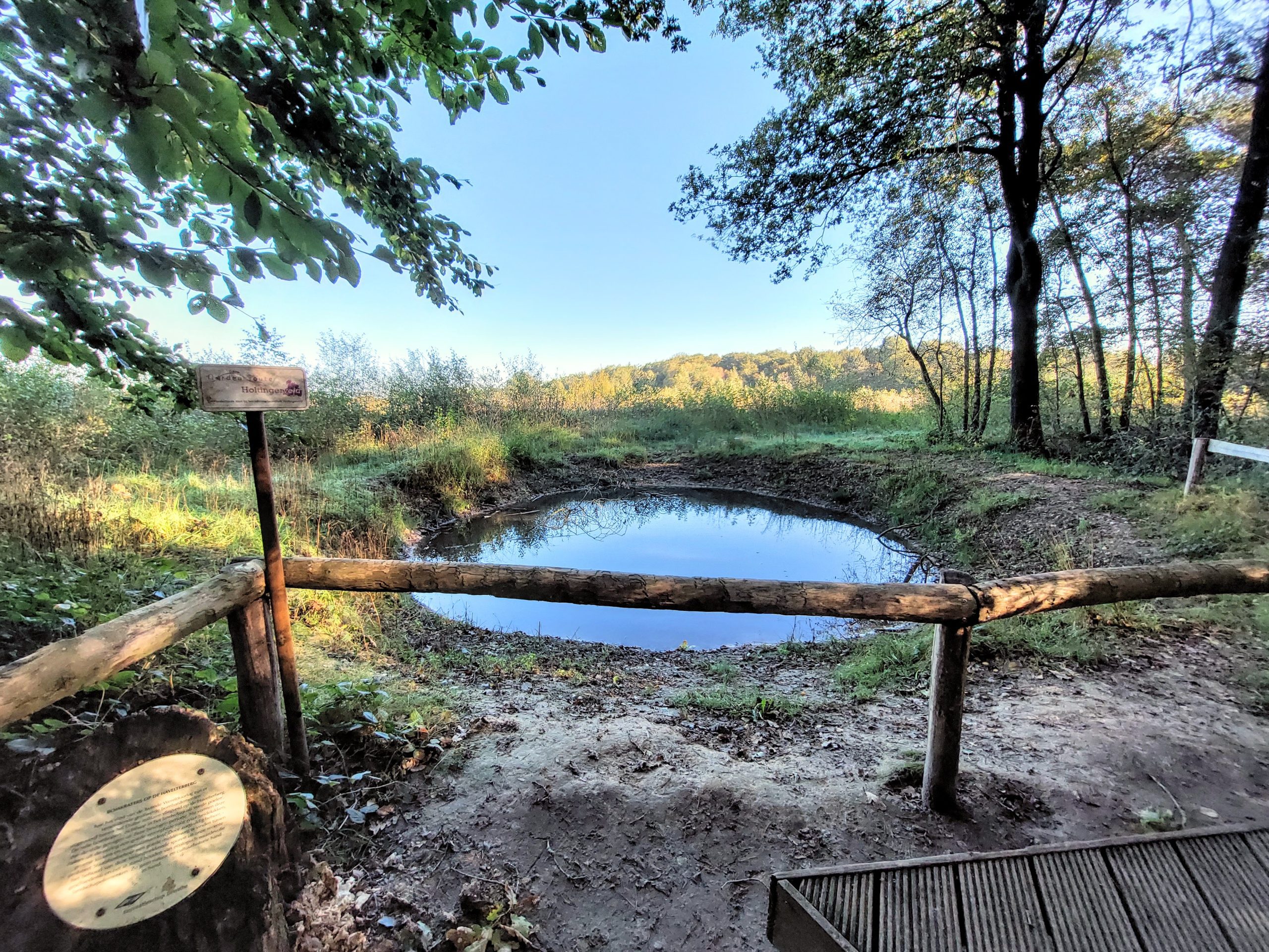 Havelterberg en Holtingerveld - Drenthepad