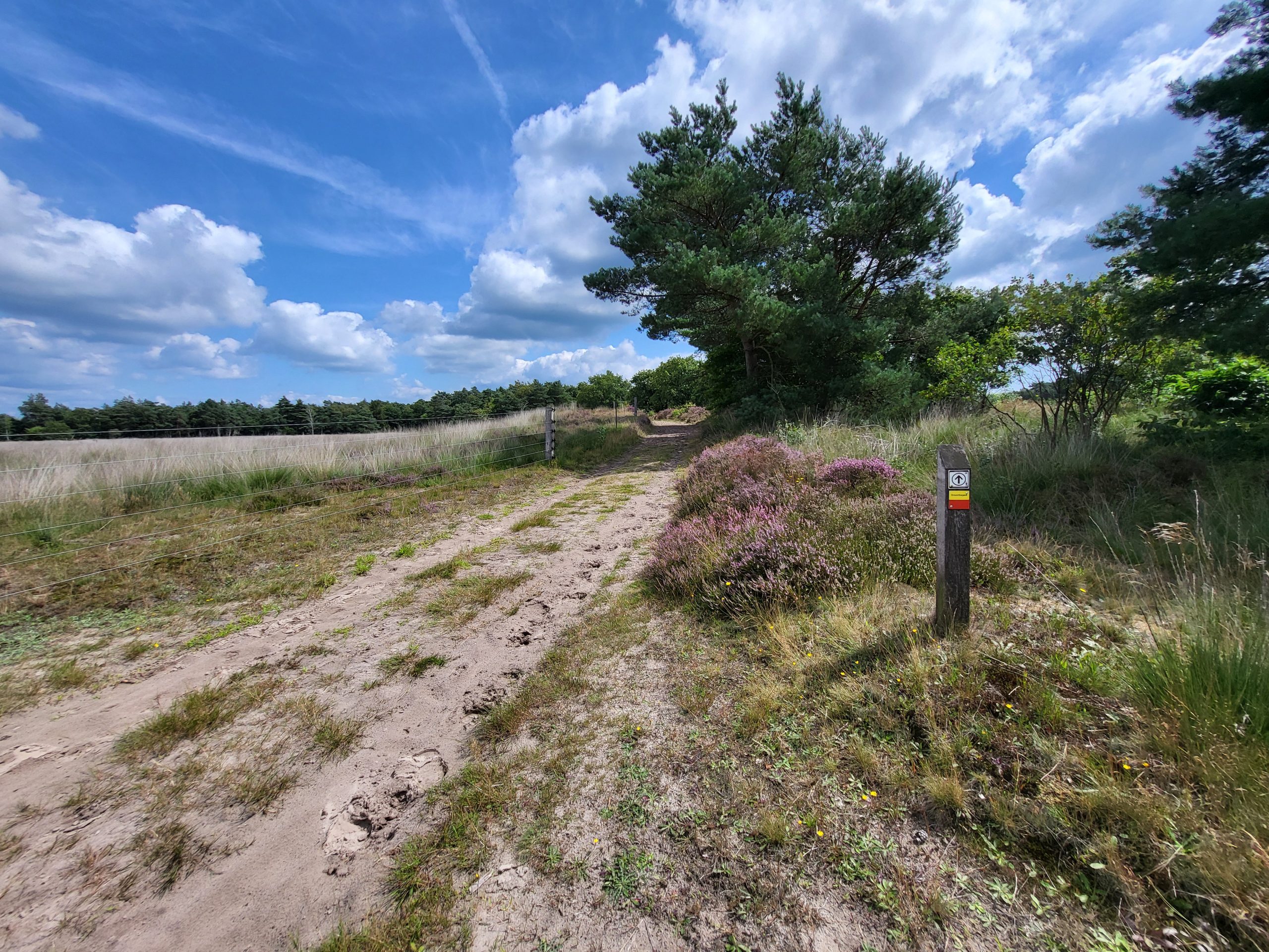 Havelterberg en Holtingerveld - Drenthepad