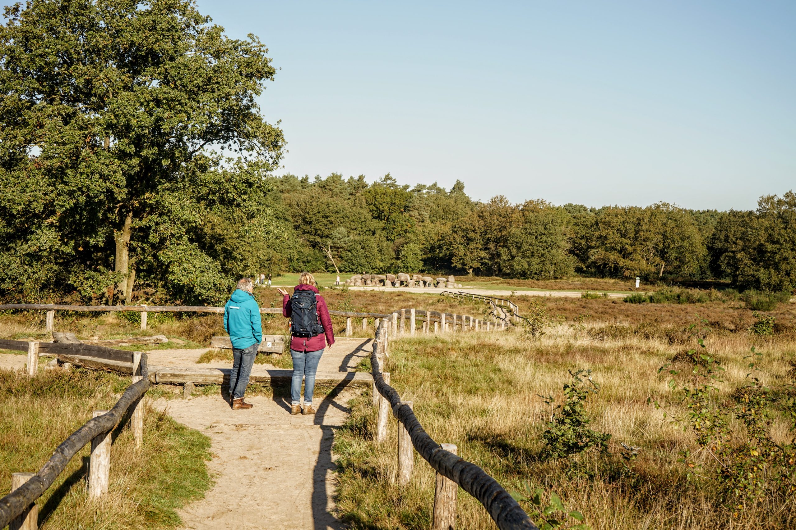 Havelterberg en Holtingerveld - Drenthepad