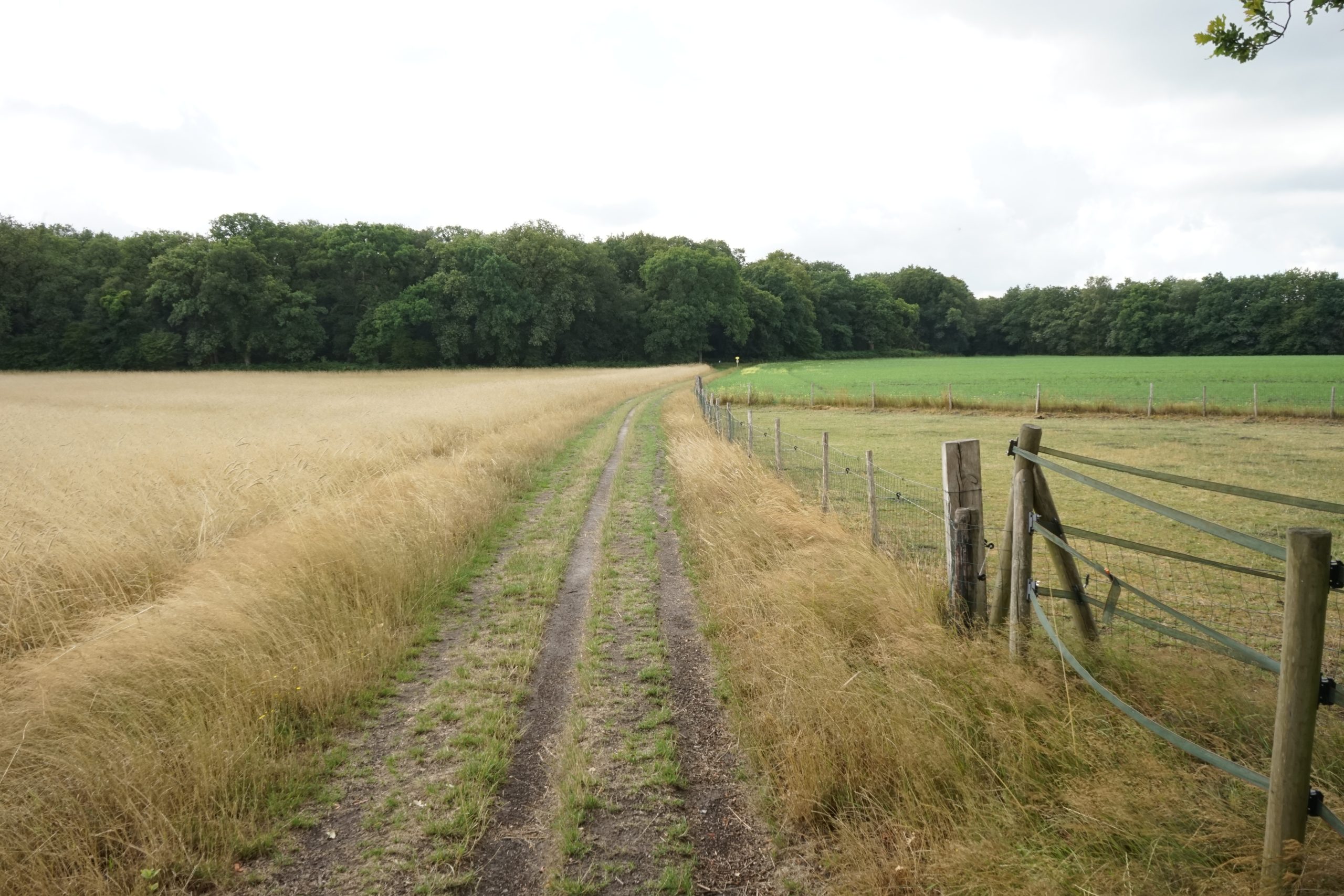 Norger Esdorpenlandschap - Drenthepad